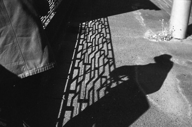 【モノクロ現像データ】JCH STREETPAN 400/KODAK D-76 作例 スナップ - PHOTOWALK~写真やカメラの話~