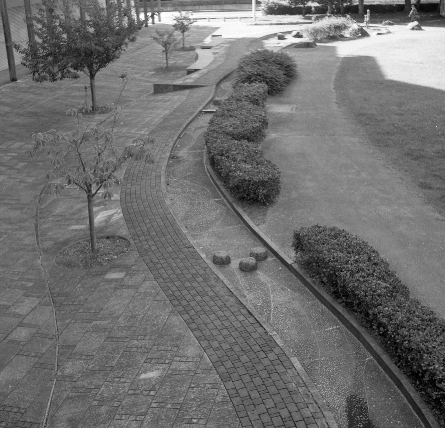 【フィルムカメラレビュー】ZEISS IKON SUPERIKONTA 532/16 戦前から作られているドイツ製の中判カメラの名機 ...