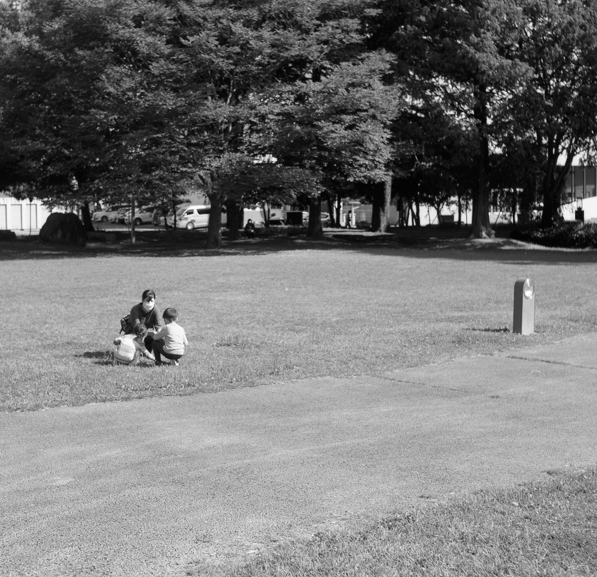 【フィルムカメラレビュー】ZEISS IKON SUPERIKONTA 532/16 戦前から作られているドイツ製の中判カメラの名機 ...