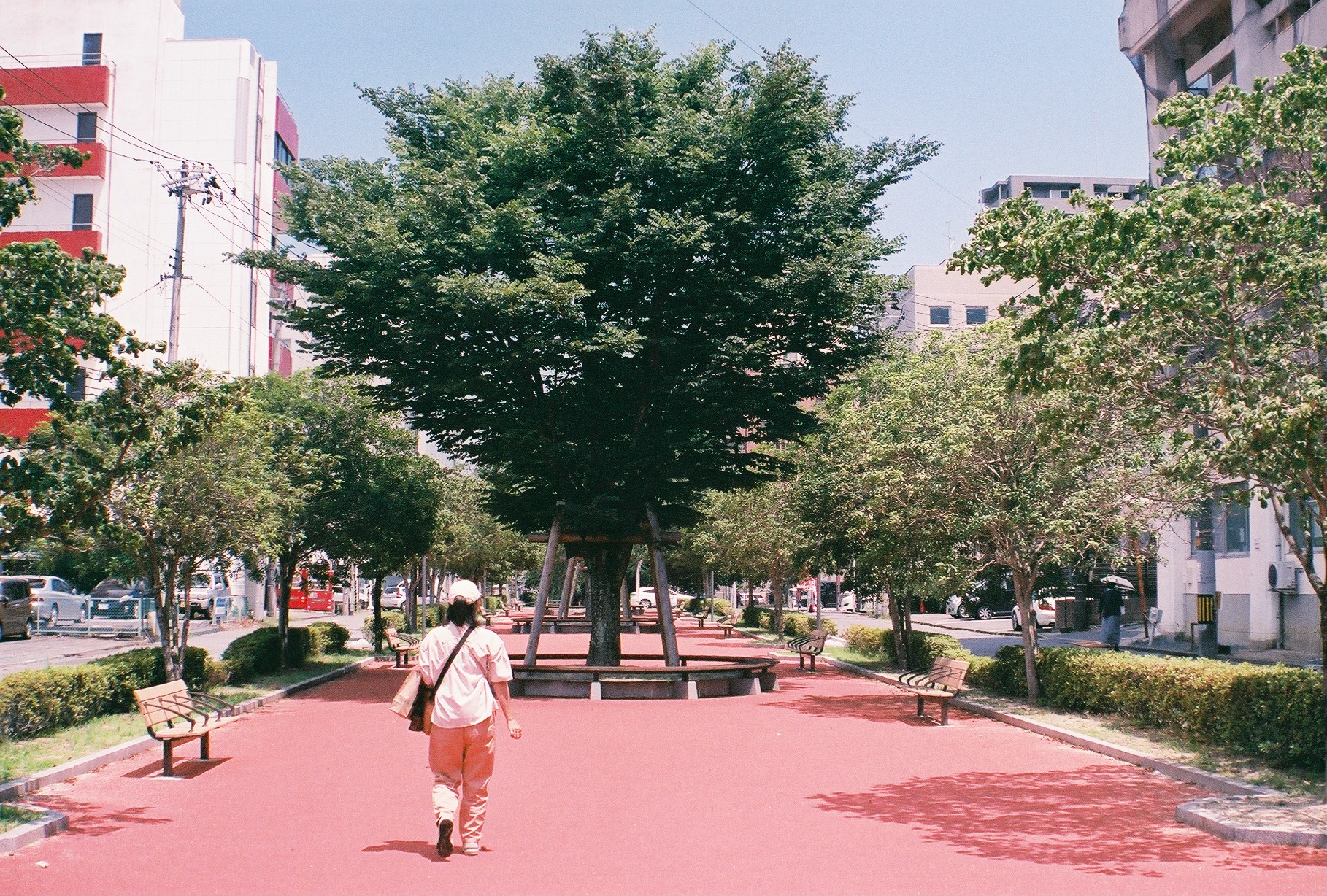 【オールドレンズレビュー】国産で初めての標準レンズ【Zoom NIKKOR C.Auto 43-86mm F3.5】 - PHOTOWALK ...