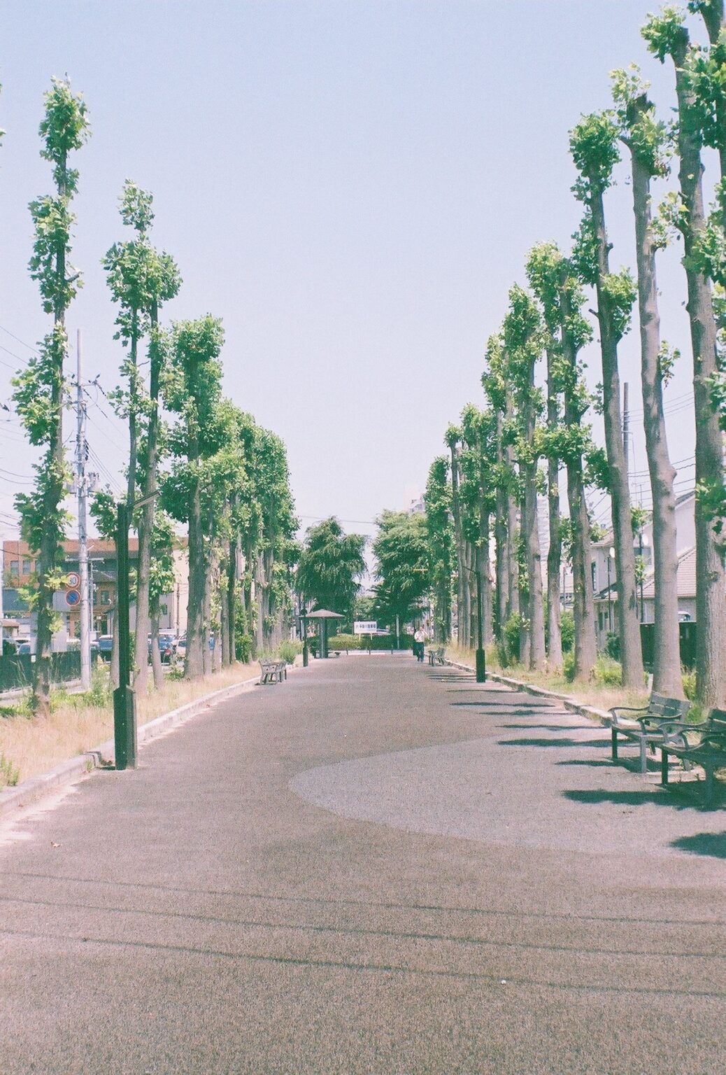 【オールドレンズレビュー】国産で初めての標準レンズ【Zoom NIKKOR C.Auto 43-86mm F3.5】 - PHOTOWALK ...