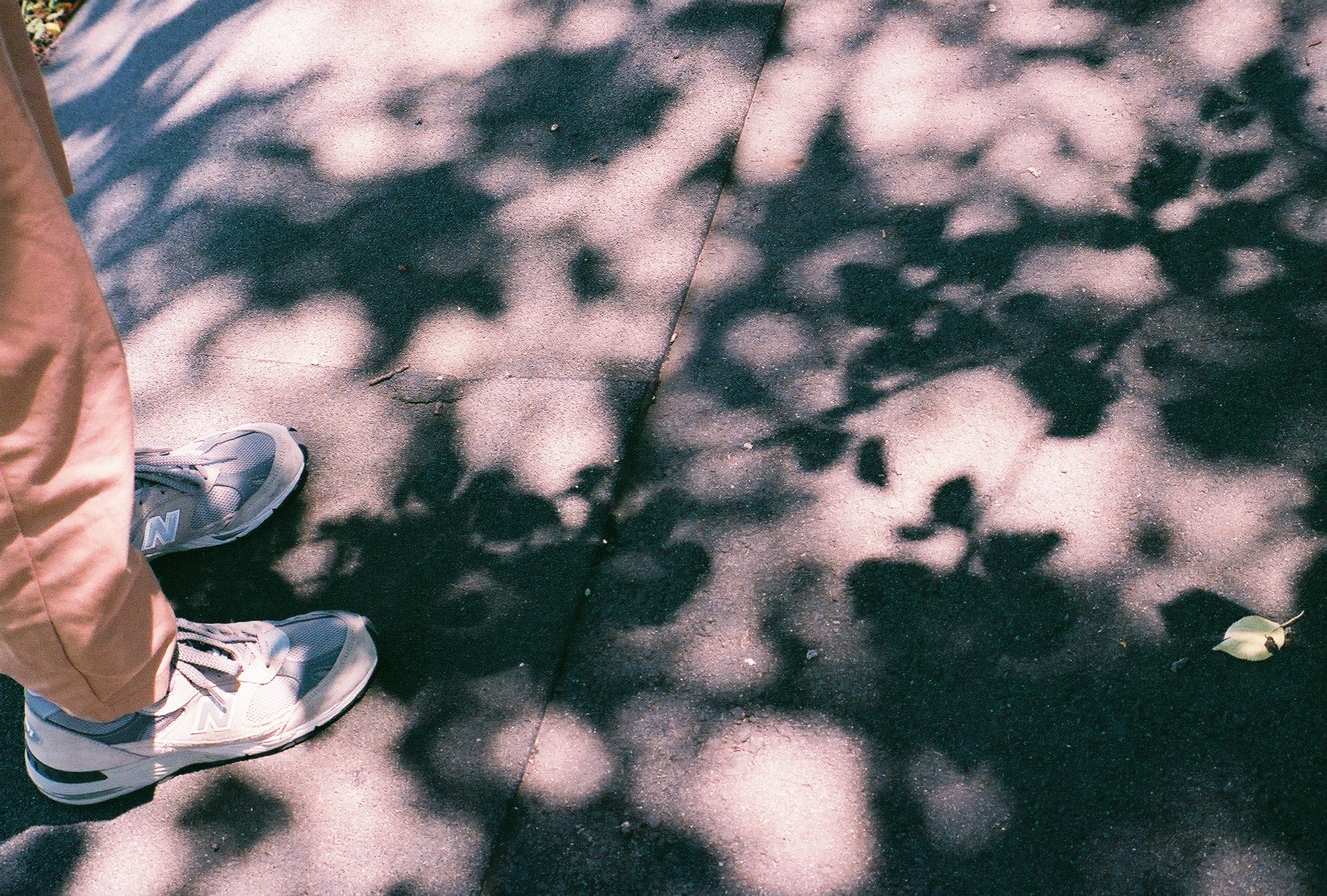 【オールドレンズレビュー】国産で初めての標準レンズ【Zoom NIKKOR C.Auto 43-86mm F3.5】 - PHOTOWALK ...