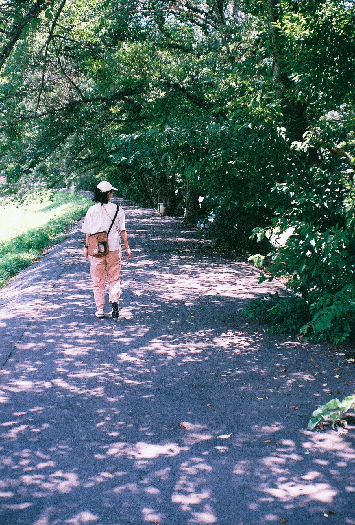 【オールドレンズレビュー】国産で初めての標準レンズ【Zoom NIKKOR C.Auto 43-86mm F3.5】 - PHOTOWALK ...