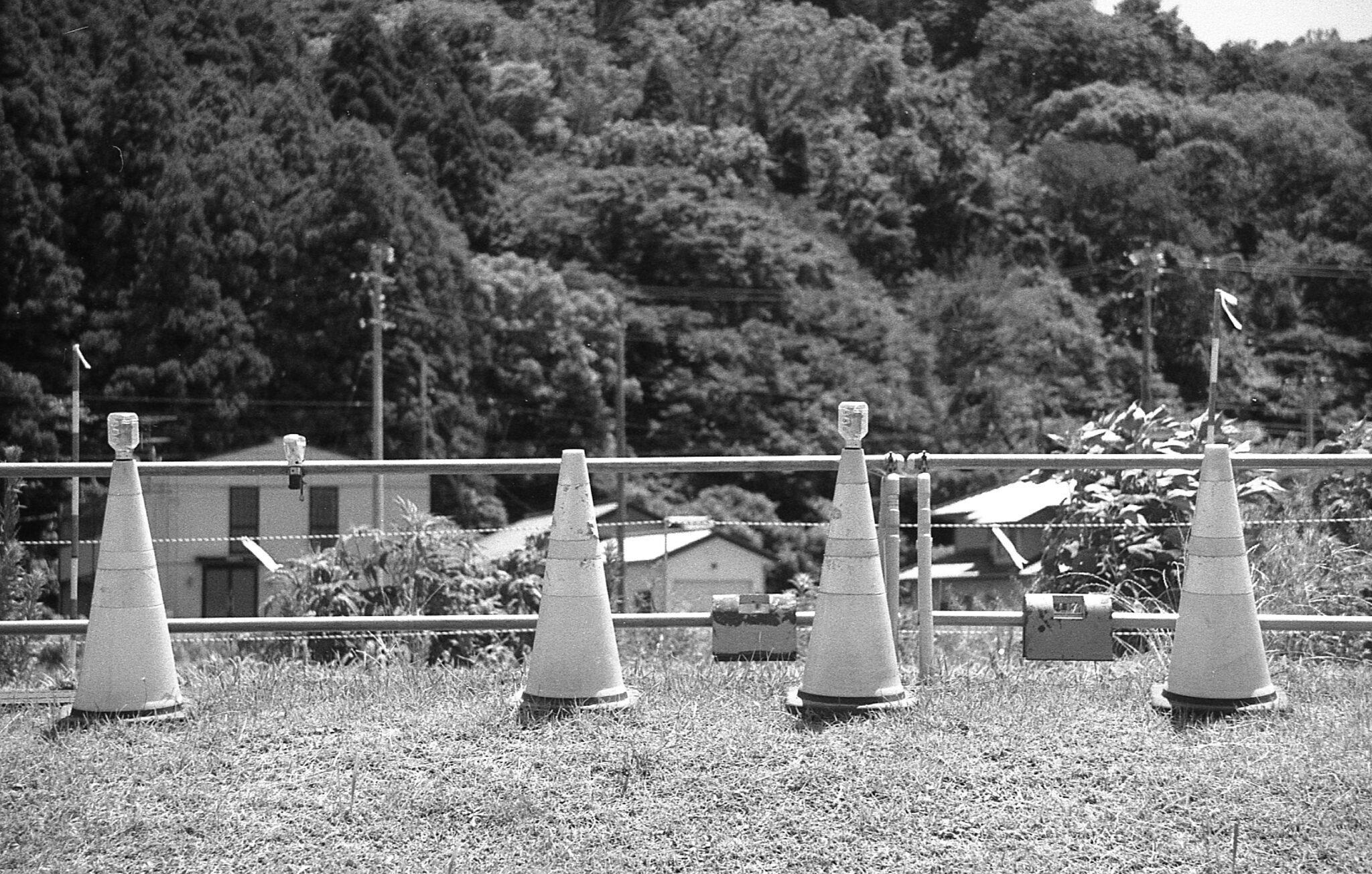 【オールドレンズレビュー】国産で初めての標準レンズ【Zoom NIKKOR C.Auto 43-86mm F3.5】 - PHOTOWALK ...