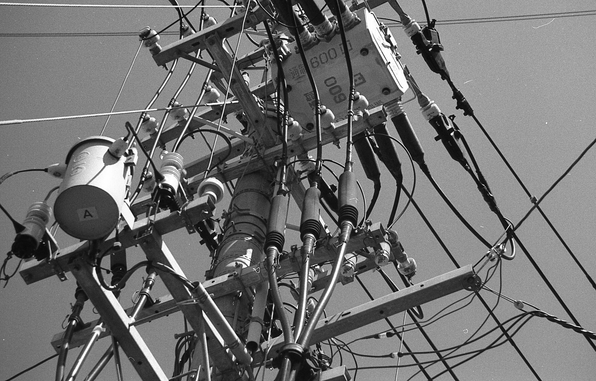 【オールドレンズレビュー】国産で初めての標準レンズ【Zoom NIKKOR C.Auto 43-86mm F3.5】 - PHOTOWALK ...