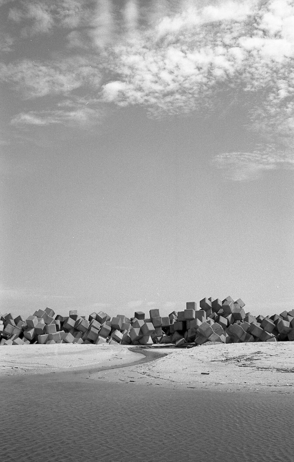 【モノクロ現像データ】FUJIFILM ACROS Ⅱ/Rodinal 1+25 - PHOTOWALK~写真やカメラの話~