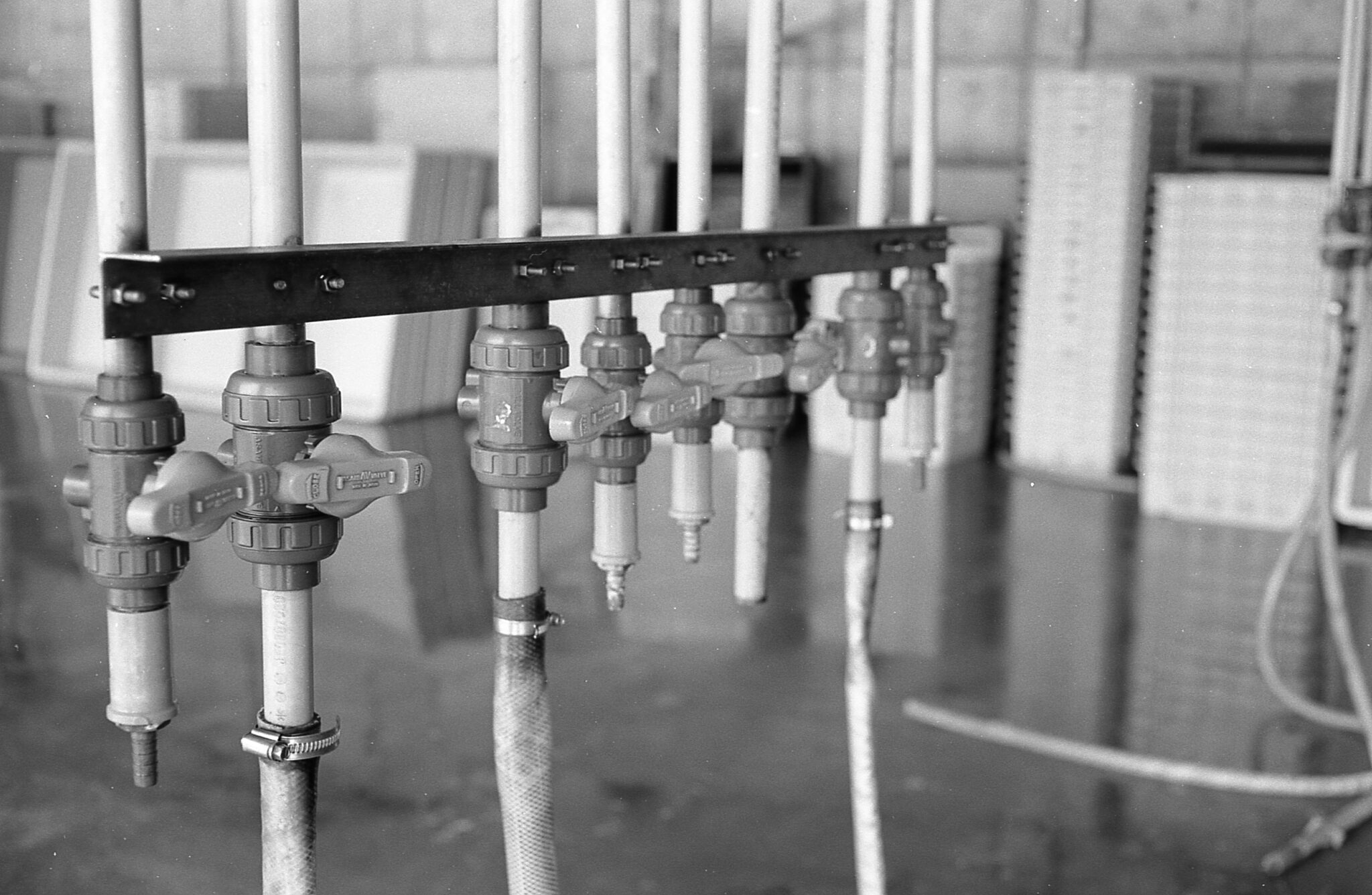 【モノクロ現像データ】FUJIFILM ACROS Ⅱ/Rodinal 1+25 - PHOTOWALK~写真やカメラの話~