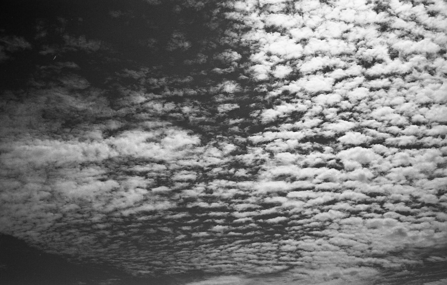 【モノクロ現像データ】FUJIFILM ACROS Ⅱ/Rodinal 1+25 - PHOTOWALK~写真やカメラの話~