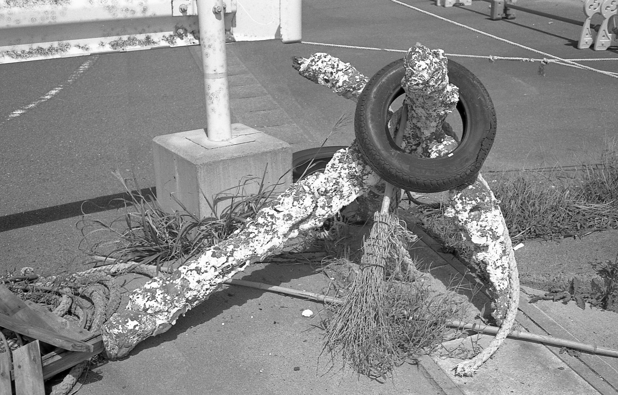 【モノクロ現像データ】FUJIFILM ACROS Ⅱ/Rodinal 1+25 - PHOTOWALK~写真やカメラの話~