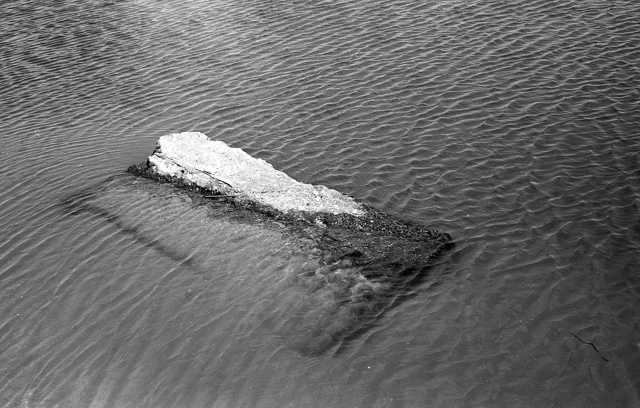 【モノクロ現像データ】FUJIFILM ACROS Ⅱ/Rodinal 1+25 - PHOTOWALK~写真やカメラの話~