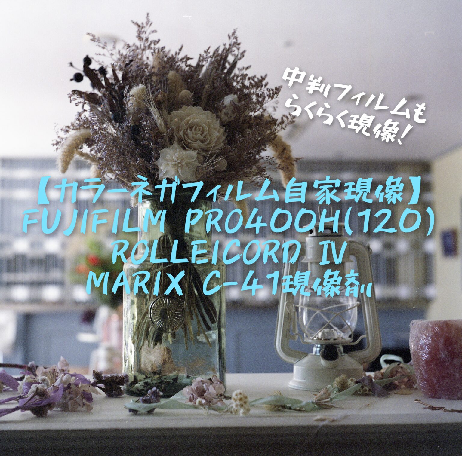 【カラーネガフィルム自家現像】FUJIFILM PRO400H(120)/MARIX C-41 作例 - PHOTOWALK~写真やカメラの話~