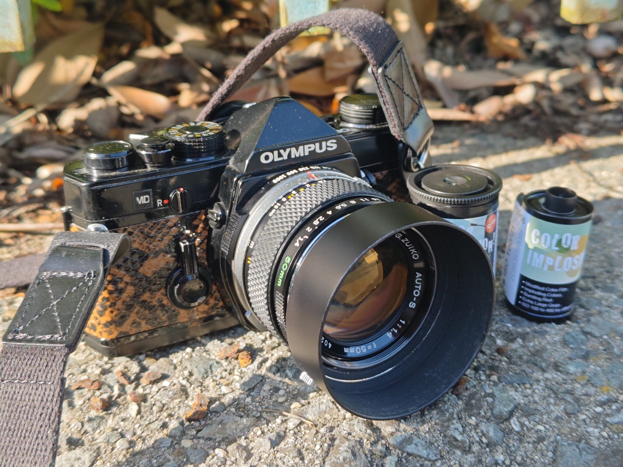 【カラーネガフィルム自家現像】ADOX Color Implosion 100/OLYMPUS OM-1 MD - PHOTOWALK~写真や ...